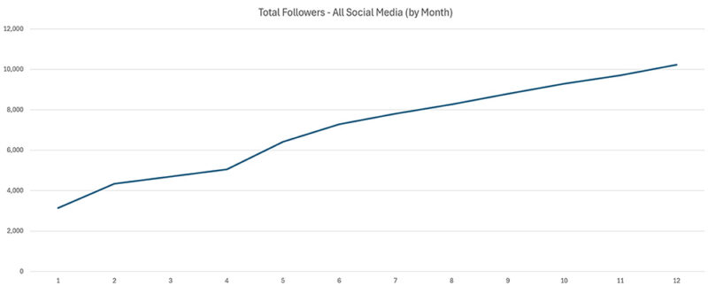 Social Media Strategy – Advanced Follower Growth Tracking