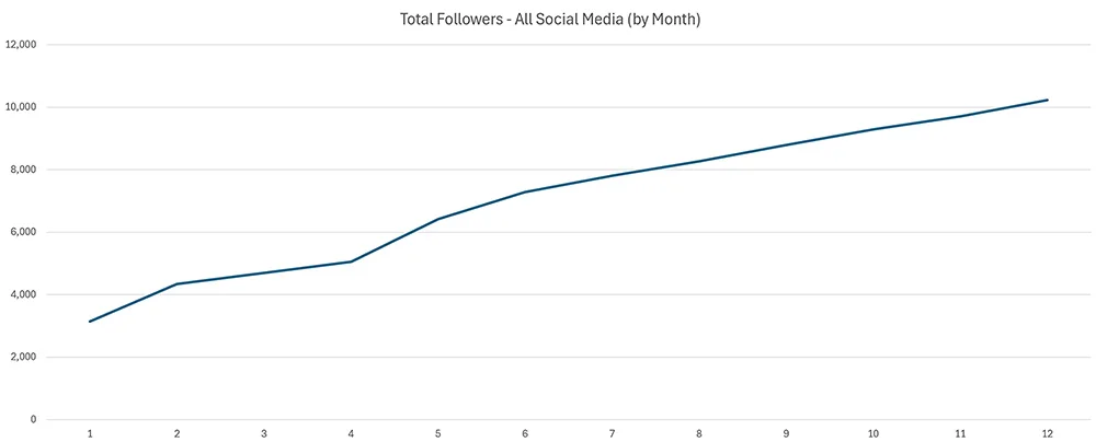 Social Media Strategy – Advanced Follower Growth Tracking